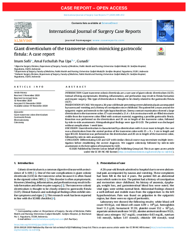 (PDF) Giant diverticulum of the transverse colon mimicking gastrocolic fistula: A case report