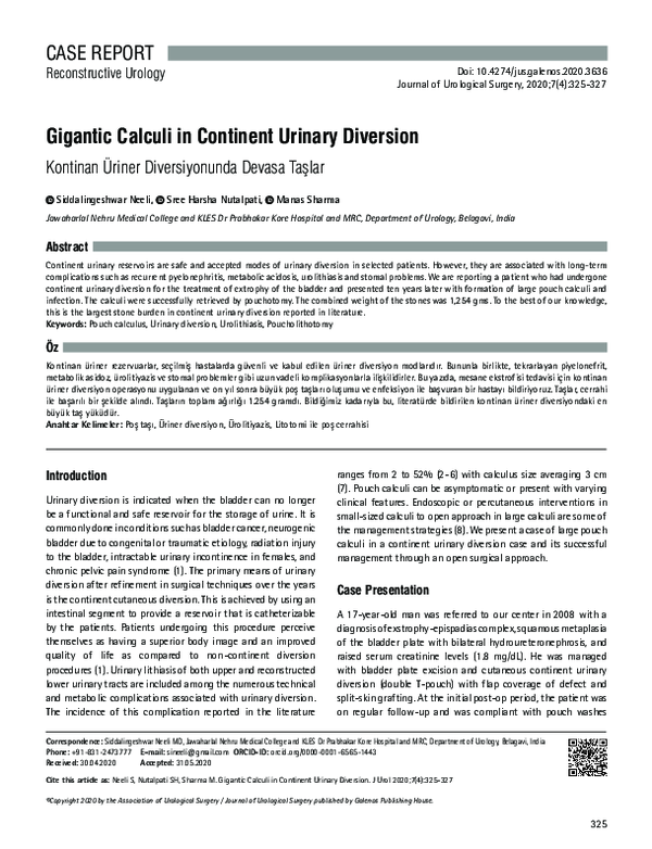 (PDF) Gigantic Calculi in Continent Urinary Diversion