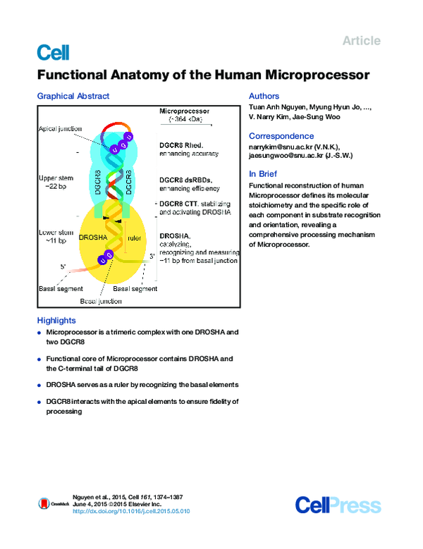 (PDF) Functional Anatomy of the Human Microprocessor