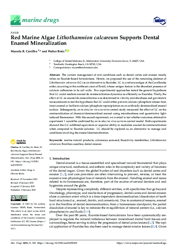 (PDF) Red Marine Algae Lithothamnion calcareum Supports Dental Enamel ...