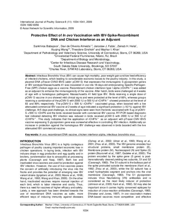 (PDF) Protective Effect of In ovo Vaccination with IBV-Spike ...