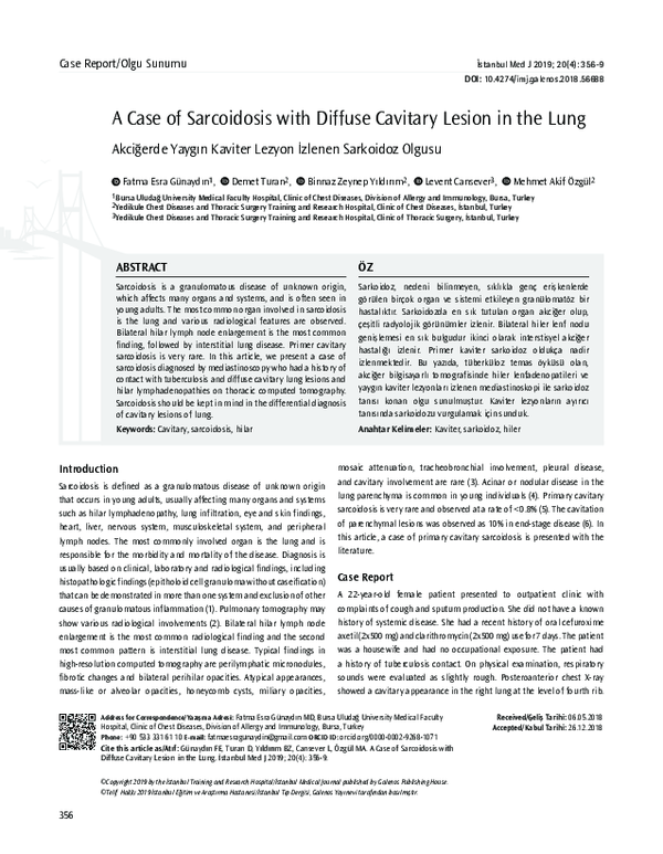 (PDF) A Case of Sarcoidosis with Diffuse Cavitary Lesion in the Lung | binnaz zeynep yıldırım ...