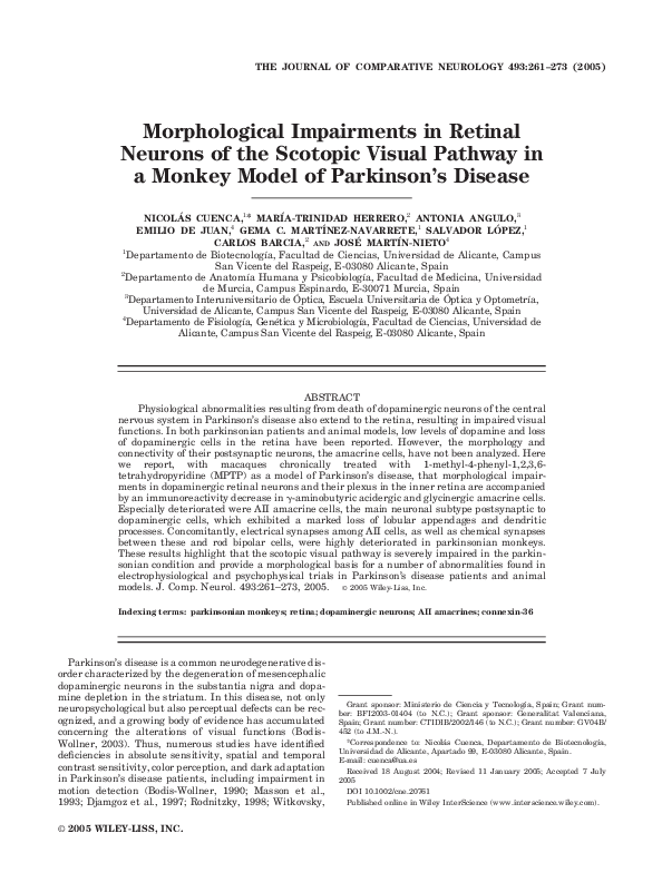 (PDF) Morphological impairments in retinal neurons of the scotopic ...