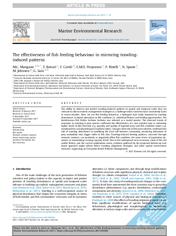 (PDF) The effectiveness of fish feeding behaviour in mirroring trawling ...