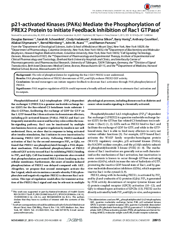 (PDF) p21-activated Kinases (PAKs) Mediate the Phosphorylation of PREX2 ...