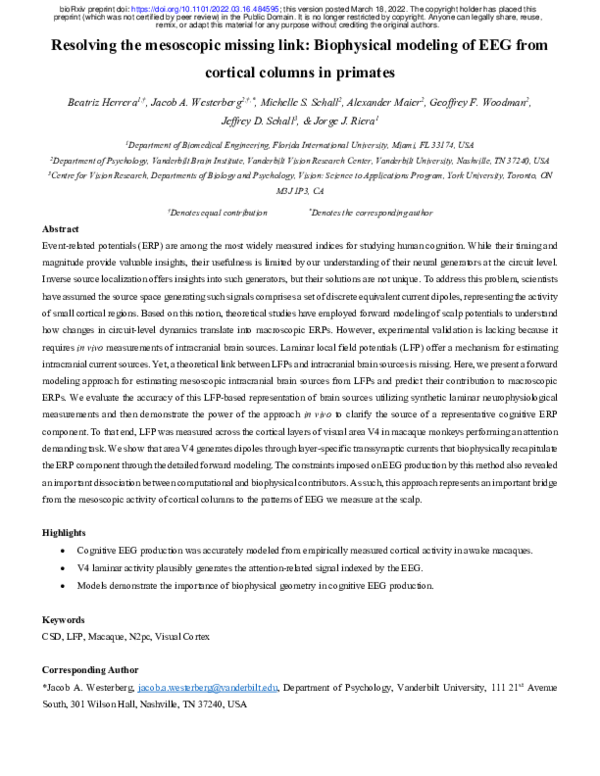 (PDF) Resolving the mesoscopic missing link: Biophysical modeling of ...