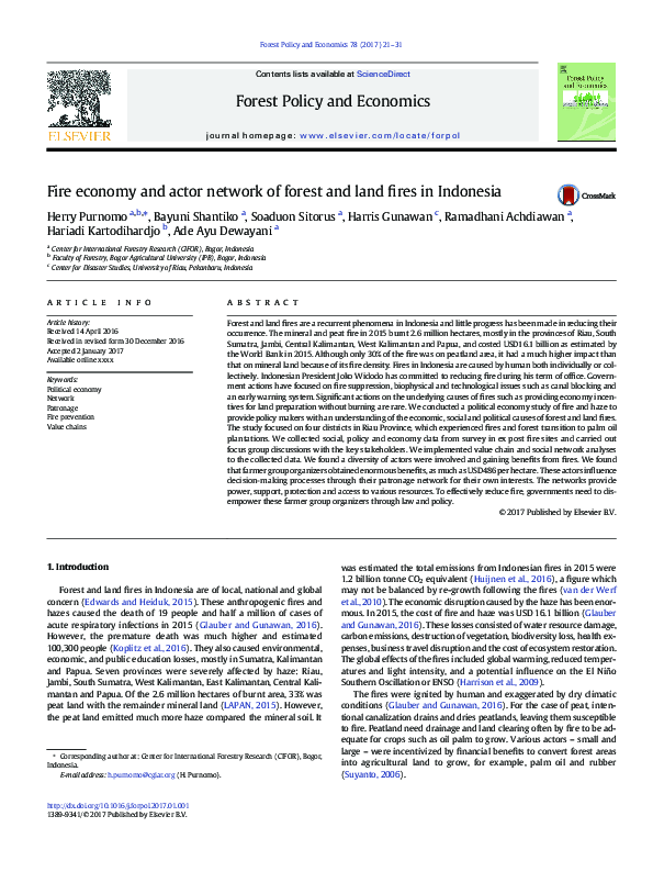 (PDF) Fire economy and actor network of forest and land fires in Indonesia