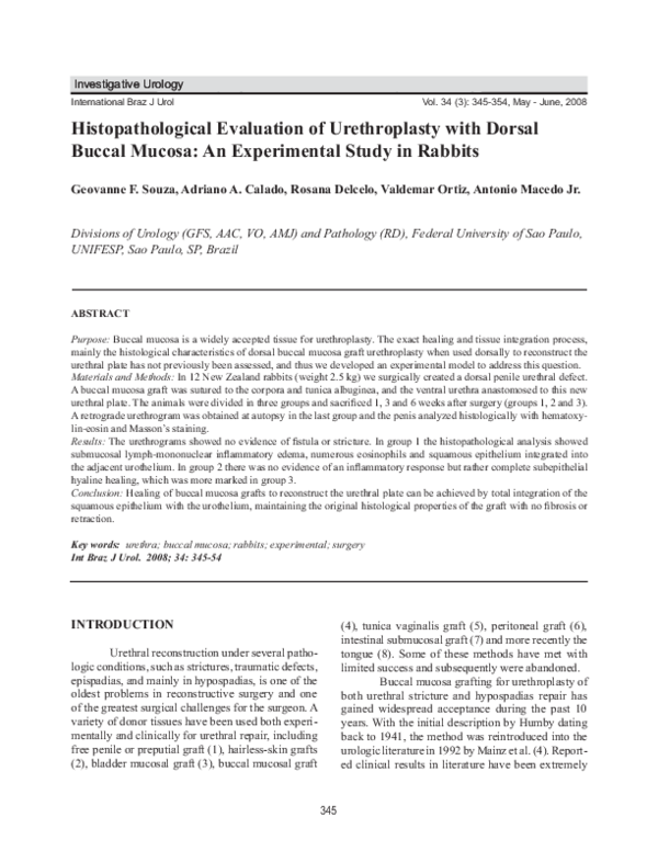 Pdf Histopathological Evaluation Of Urethroplasty With Dorsal Buccal