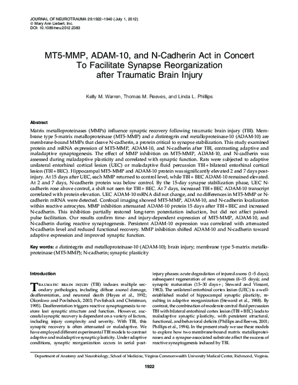 (PDF) MT5-MMP, ADAM-10, and N-Cadherin Act in Concert To Facilitate ...