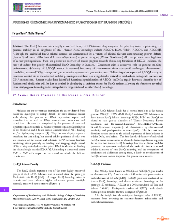 (PDF) Probing Genome Maintenance Functions of Human RECQ1