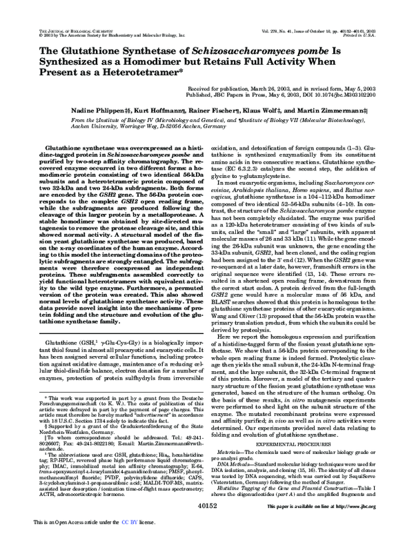 (PDF) The Glutathione Synthetase of Schizosaccharomyces pombe Is ...