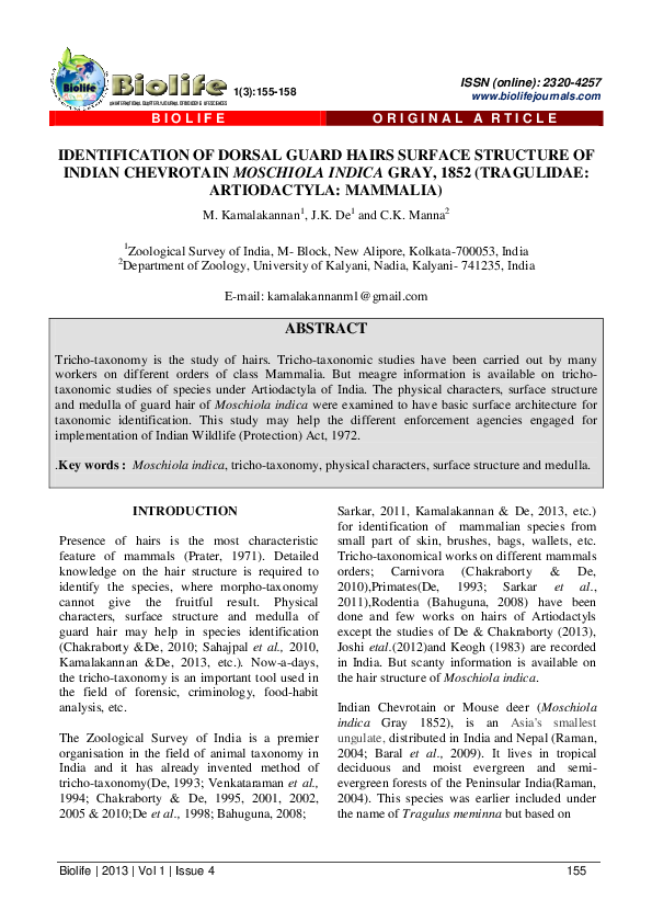 (PDF) IDENTIFICATION OF DORSAL GUARD HAIRS SURFACE STRUCTURE OF INDIAN ...