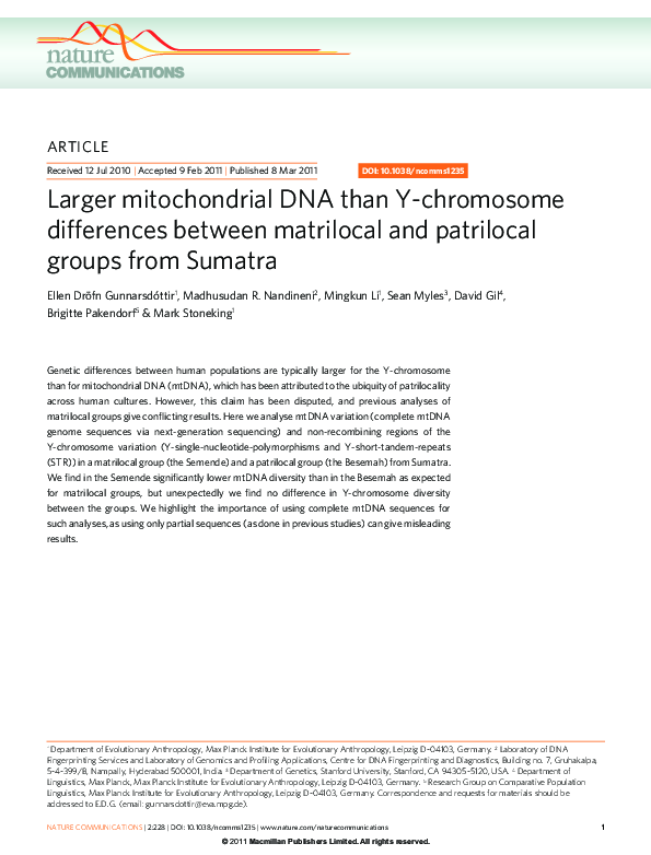 (PDF) Larger mitochondrial DNA than Y-chromosome differences between ...