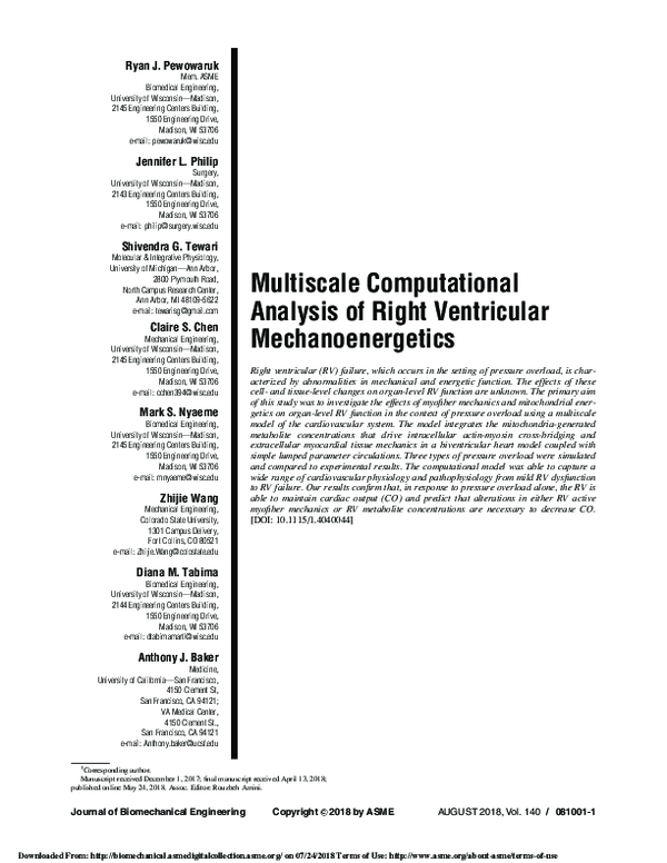 (PDF) Multiscale Computational Analysis of Right Ventricular Mechanoenergetics