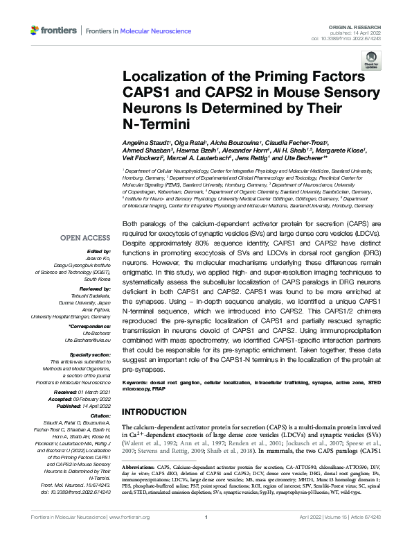 (PDF) Localization of the Priming Factors CAPS1 and CAPS2 in Mouse ...