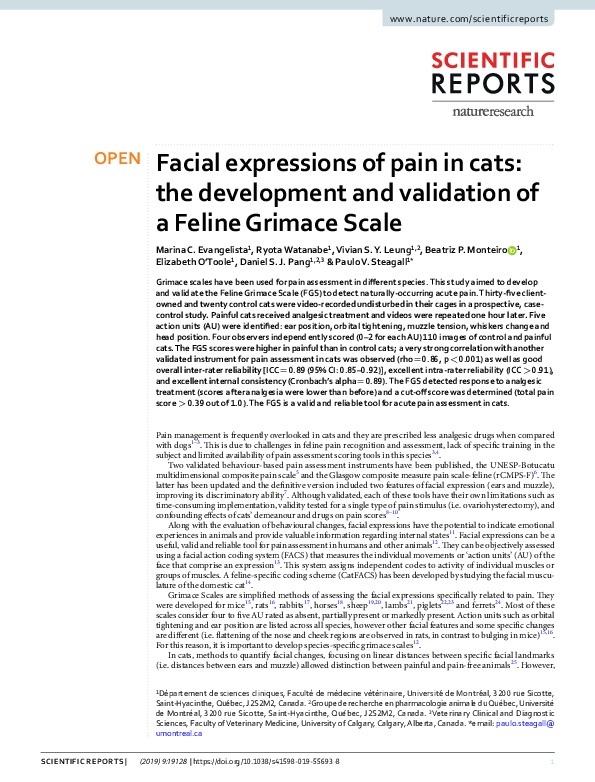 (PDF) Facial expressions of pain in cats: the development and ...