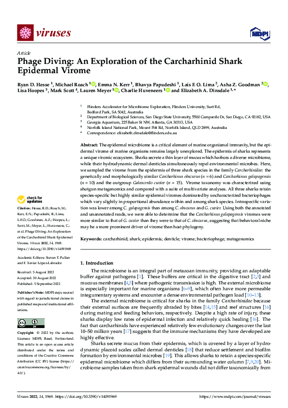 (PDF) Phage Diving: An Exploration of the Carcharhinid Shark Epidermal ...