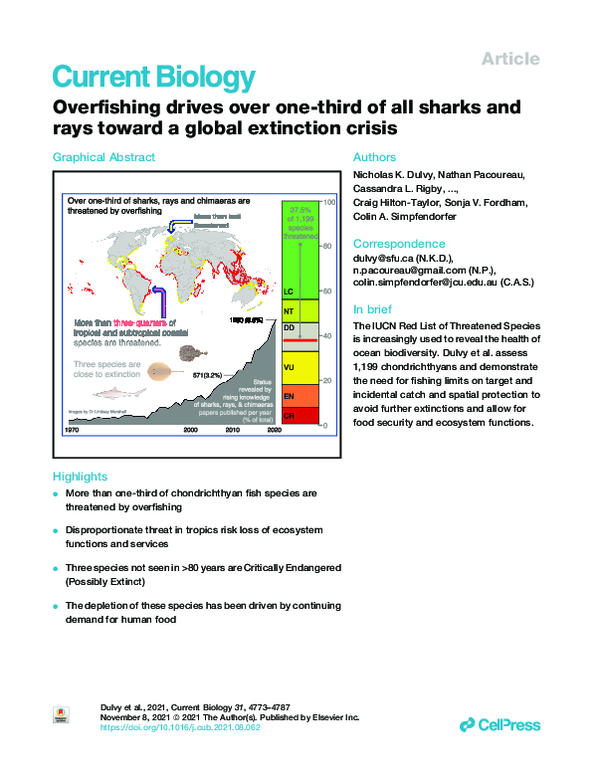 (PDF) Overfishing drives over one-third of all sharks and rays toward a ...