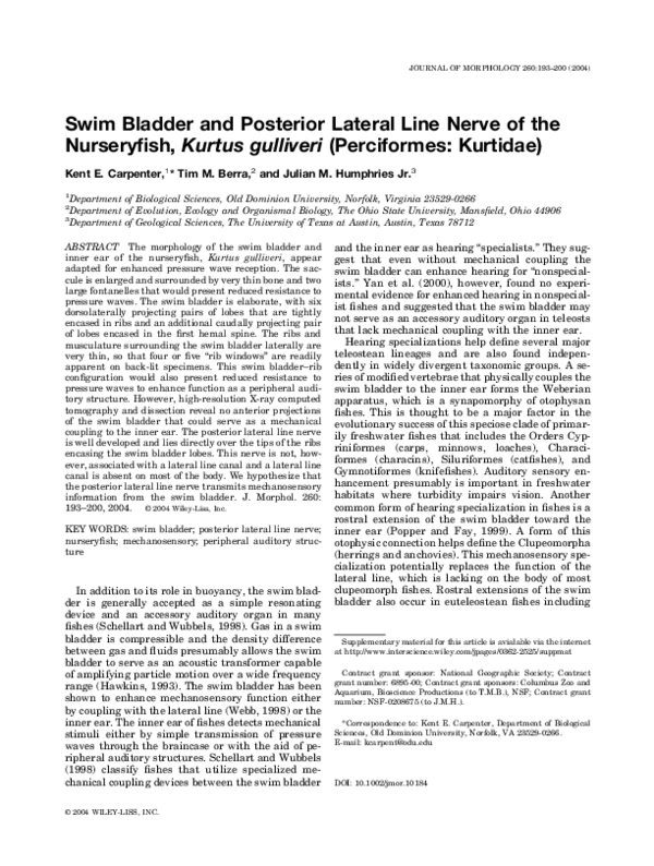(PDF) Swim bladder and posterior lateral line nerve of the nurseryfish ...