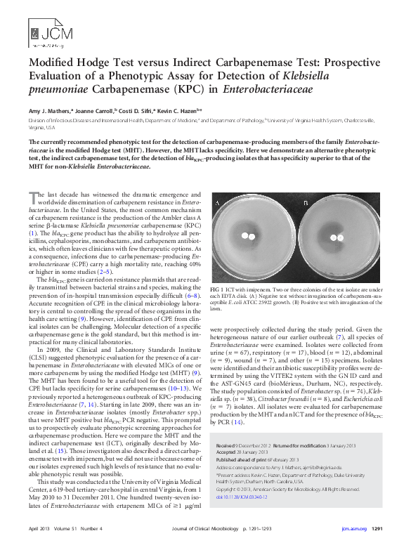 (PDF) Modified Hodge Test versus Indirect Carbapenemase Test ...