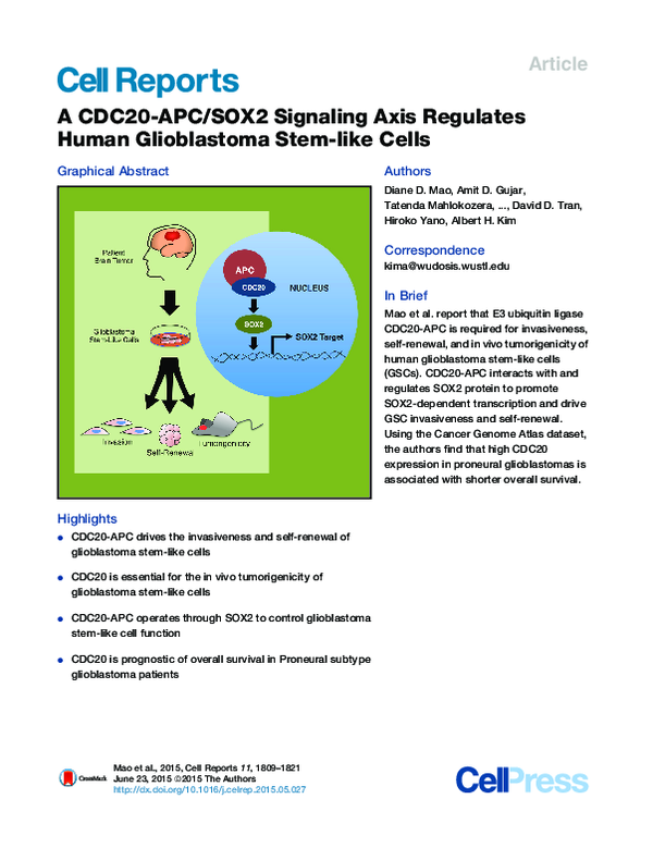 (PDF) A CDC20-APC/SOX2 Signaling Axis Regulates Human Glioblastoma Stem ...