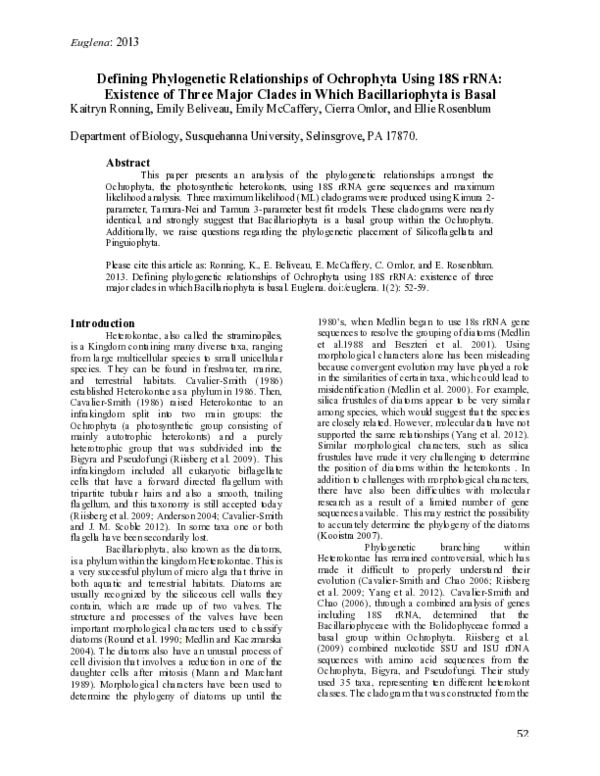 (PDF) Defining Phylogenetic Relationships of Ochrophyta Using 18S rRNA ...