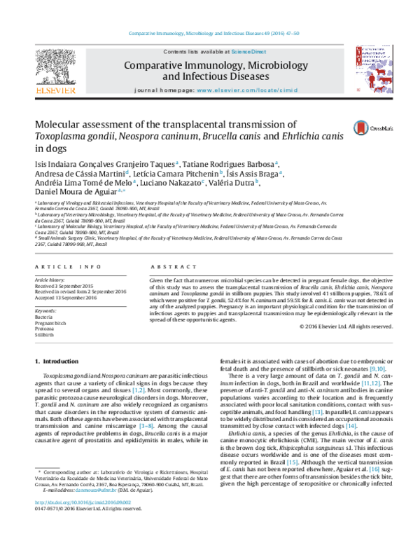 Pdf Molecular Assessment Of The Transplacental Transmission Of Toxoplasma Gondii Neospora