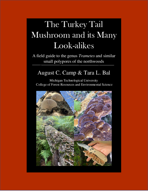 (PDF) The Turkey Tail Mushroom and its Many Look-alikes