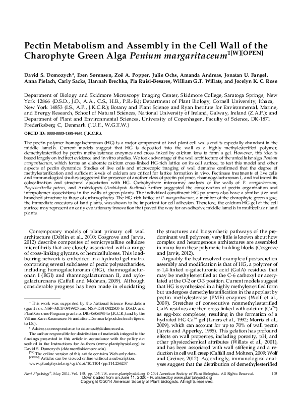 (PDF) Pectin Dynamics in Charophyte Alga Cell Walls