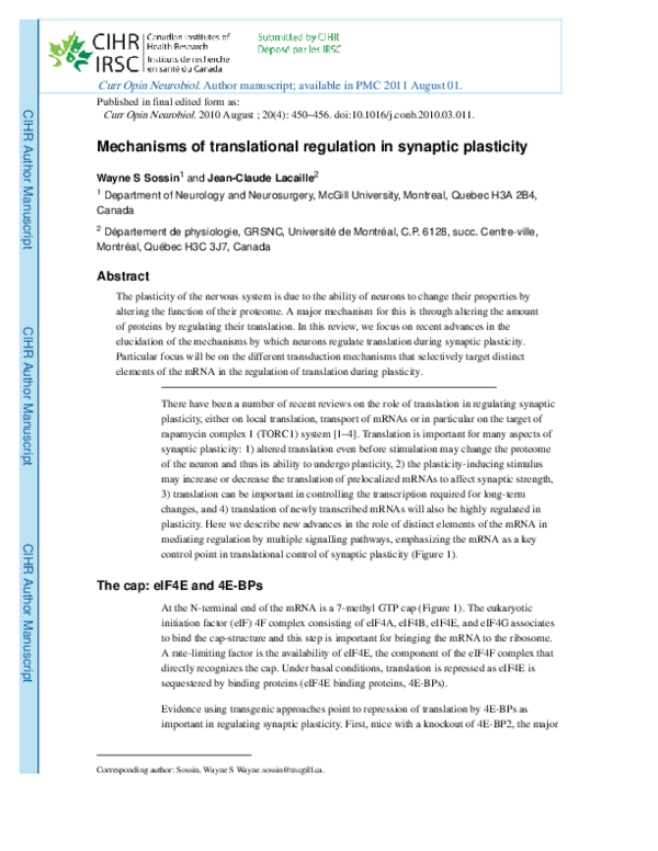 (PDF) Mechanisms of translational regulation in synaptic plasticity