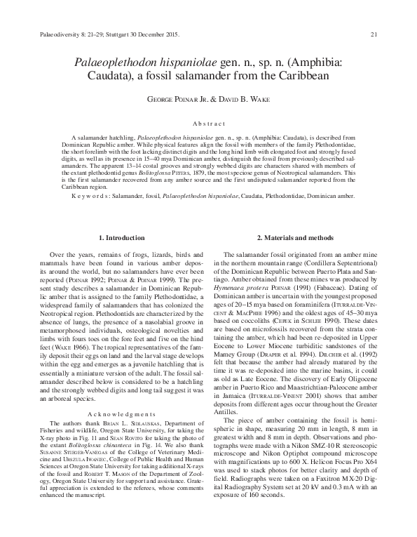 (PDF) Palaeoplethodon hispaniolae gen. n., sp. n. (Amphibia: Caudata ...