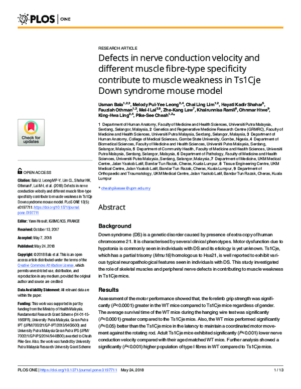 (PDF) Defects in nerve conduction velocity and different muscle fibre ...