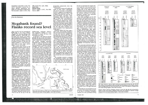 (PDF) Megabank found? Flanks record sea level