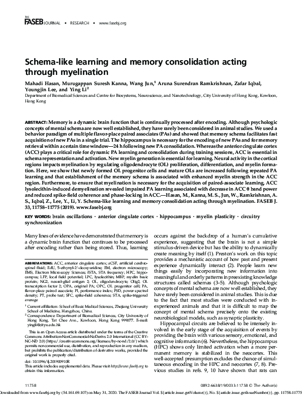 (PDF) Schema‐like learning and memory consolidation acting through ...