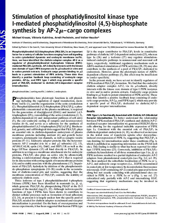 (PDF) Stimulation of phosphatidylinositol kinase type I-mediated ...