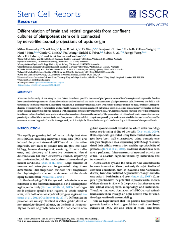 (PDF) Differentiation of brain and retinal organoids from confluent ...