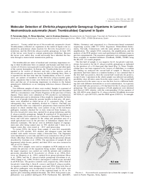 (PDF) Molecular Detection of Ehrlichia phagocytophila Genogroup ...