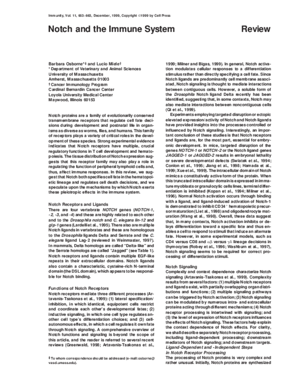 (PDF) Notch and the Immune System