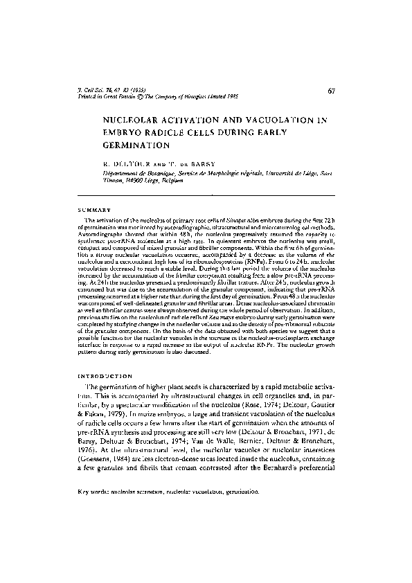 (PDF) Nucleolar activation and vacuolation in embryo radicle cells ...