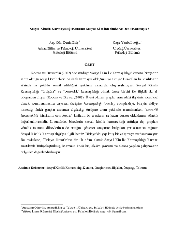 (PDF) Social Identity Complexity Theory: How Complex are Our Social ...