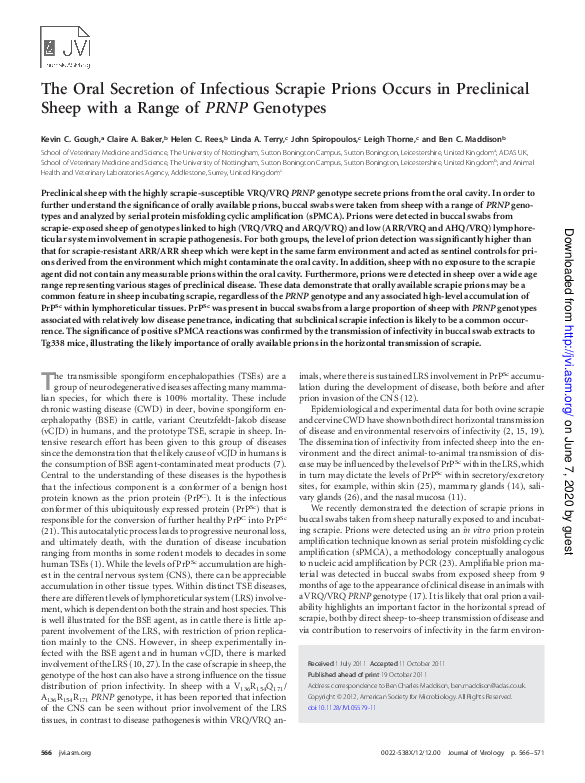(PDF) The Oral Secretion of Infectious Scrapie Prions Occurs in ...