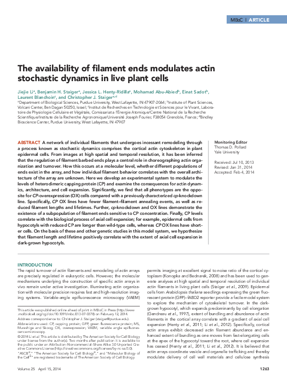(PDF) The availability of filament ends modulates actin stochastic ...