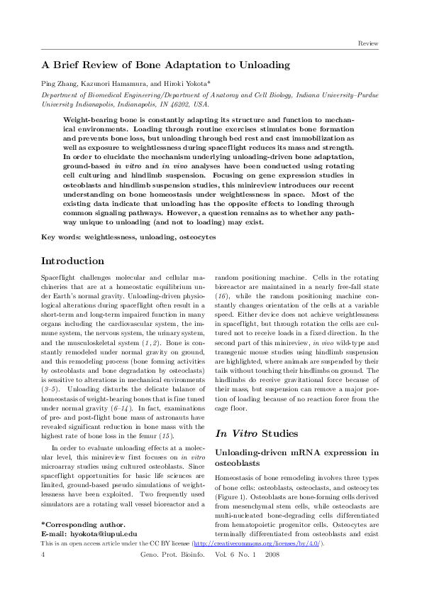(PDF) A Brief Review of Bone Adaptation to Unloading