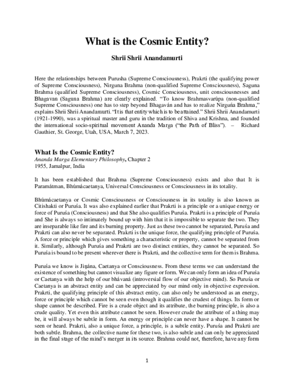 (PDF) What is the Cosmic Entity?