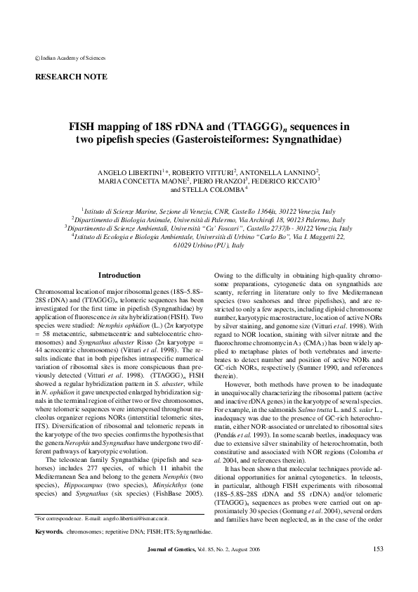 (PDF) Fish mapping of 18S rDNA and (TTAGGG) n sequences in two pipefish ...