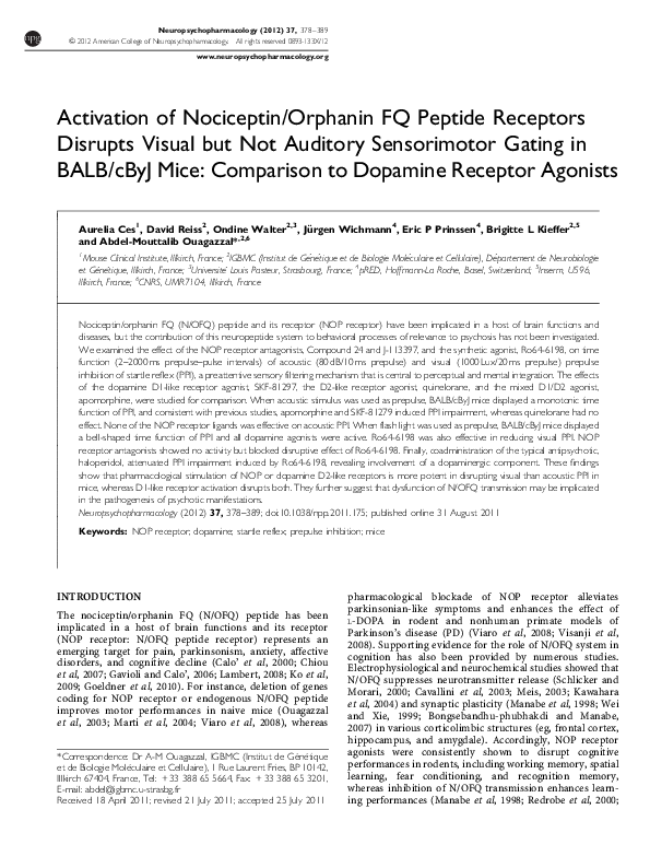 (PDF) Activation of Nociceptin/Orphanin FQ Peptide Receptors Disrupts ...