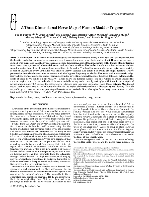 (PDF) A three dimensional nerve map of human bladder trigone ...