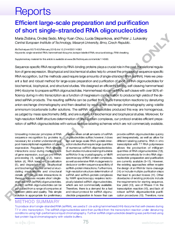 (PDF) Efficient large-scale preparation and purification of short single-stranded RNA ...
