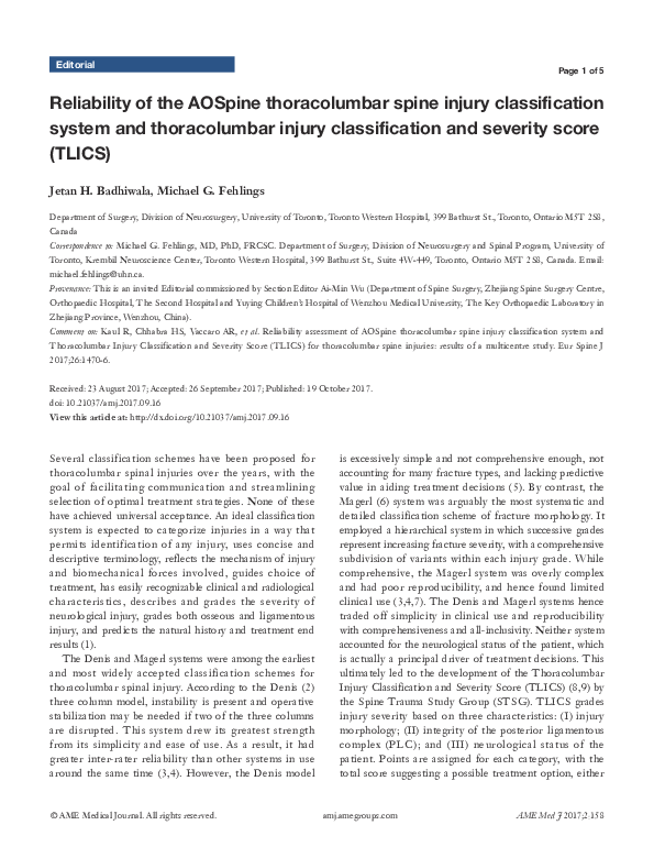 (PDF) Reliability of the AOSpine thoracolumbar spine injury ...