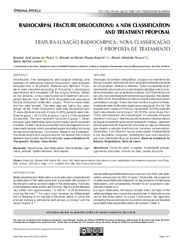 Pdf Radiocarpal Fracture Dislocations A New Classification And Treatment Proposal